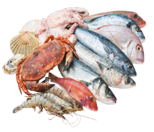 Bayt Al Samak - Premium Fresh Fishes